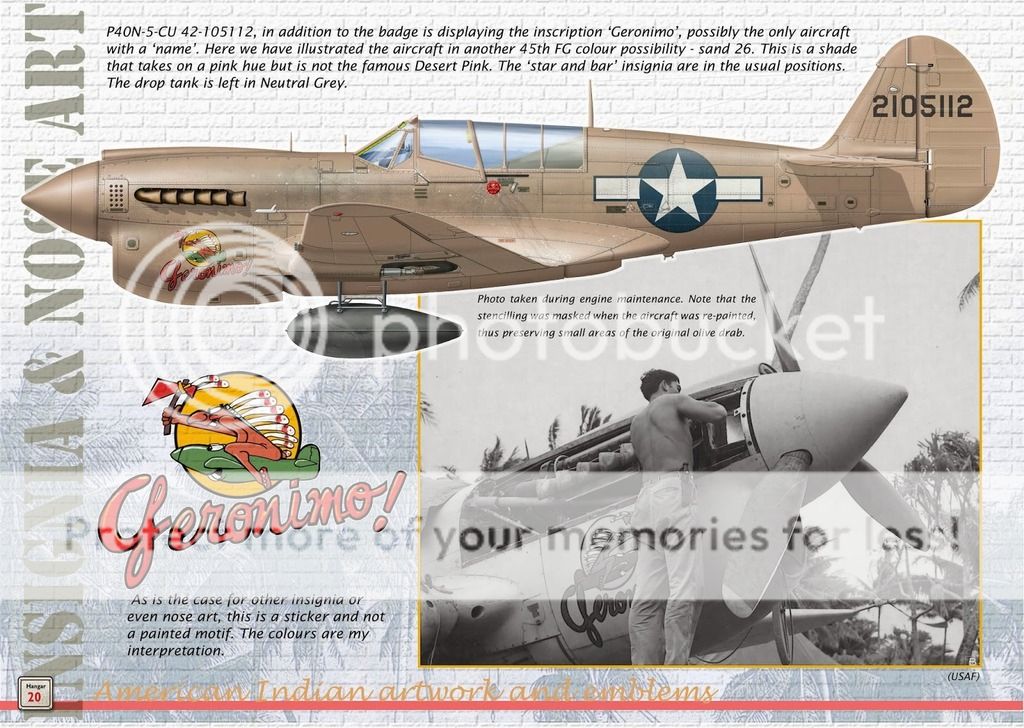 45th FS, 15th FG P-40N Camouflage/Distemper - General Discussion ...