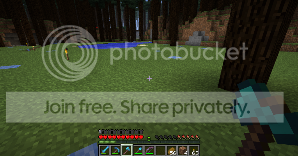 Super Giant Pine Forest - Survival Mode - Minecraft: Java Edition ...