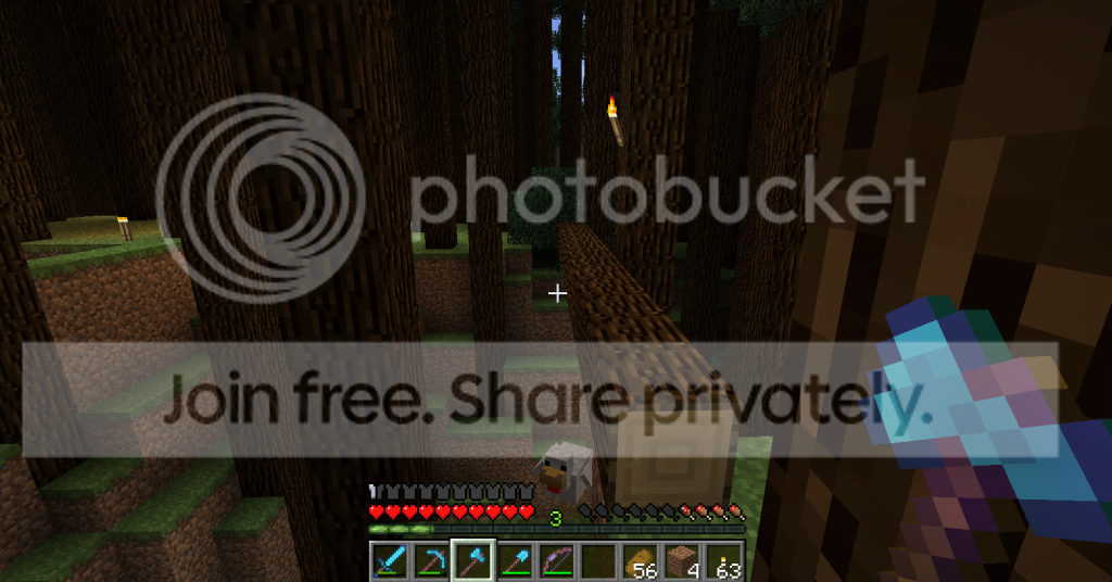 Super Giant Pine Forest - Survival Mode - Minecraft: Java Edition ...