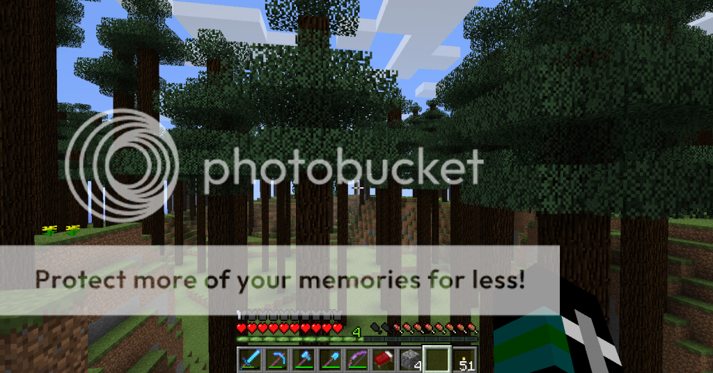 Super Giant Pine Forest - Survival Mode - Minecraft: Java Edition ...