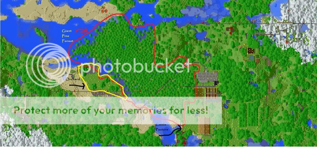 Super Giant Pine Forest - Survival Mode - Minecraft: Java Edition ...